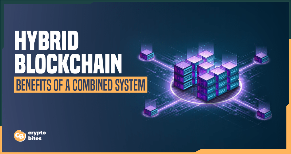 Hybrid Blockchain - Benefits of a Combined System
