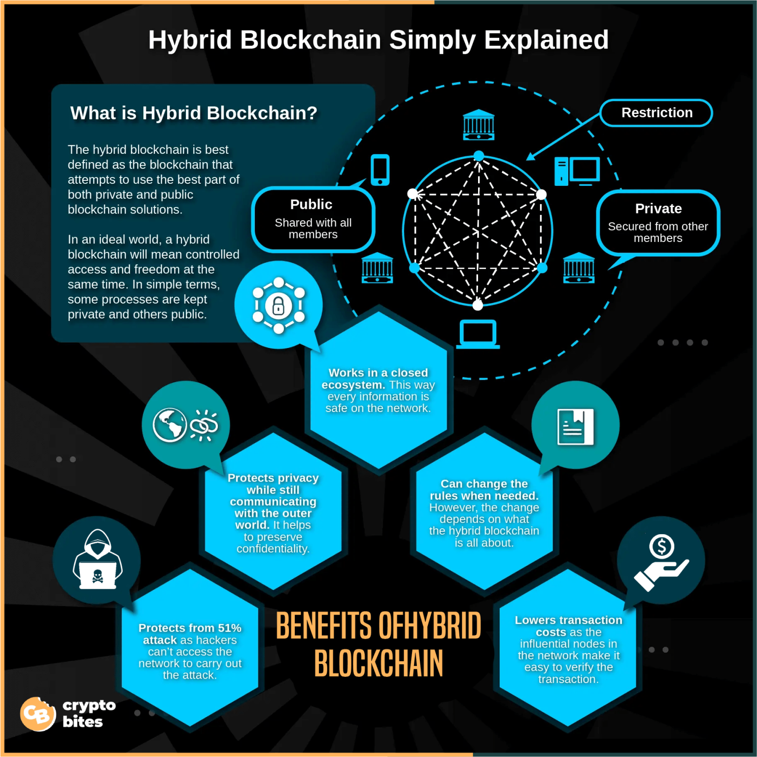 Hybrid Blockchain - Benefits of a Combined System